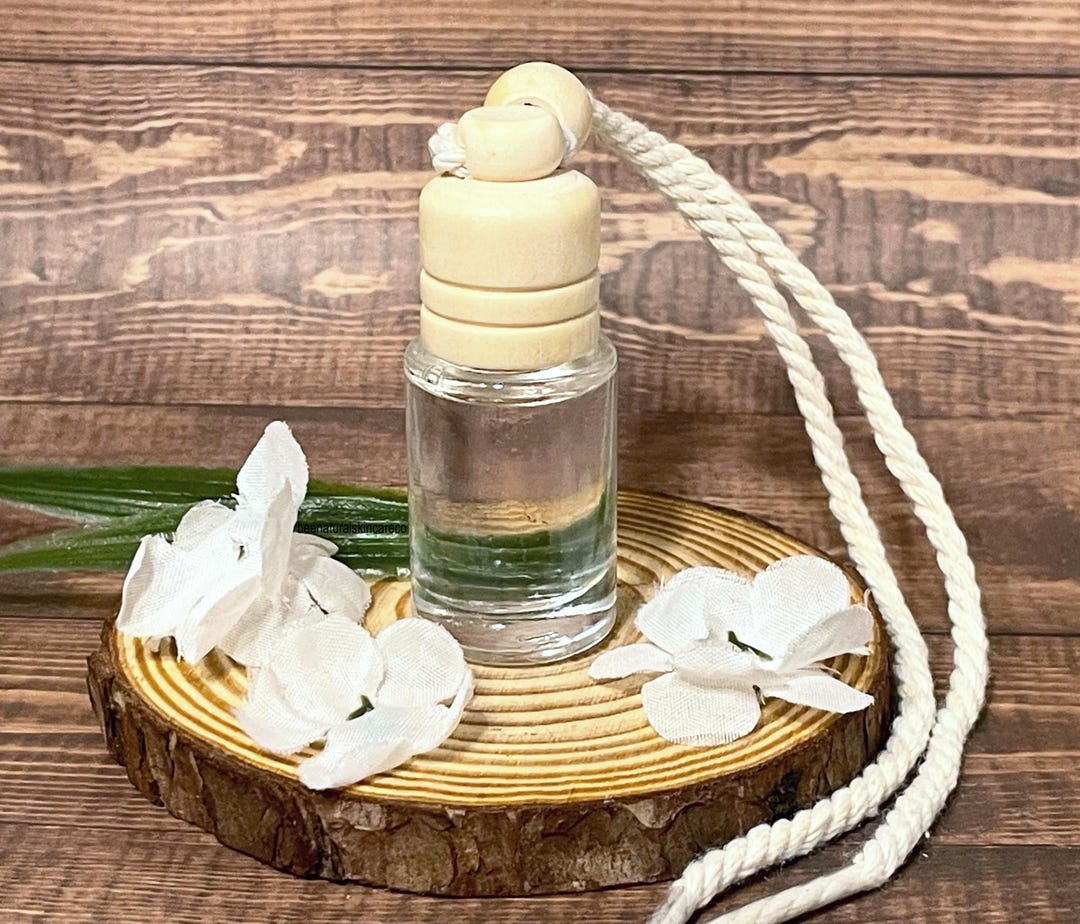 Hanging Oil Diffuser • Air Freshner for Car, Office, Bathroom, Dorm, Small Spaces • Fragrance ...