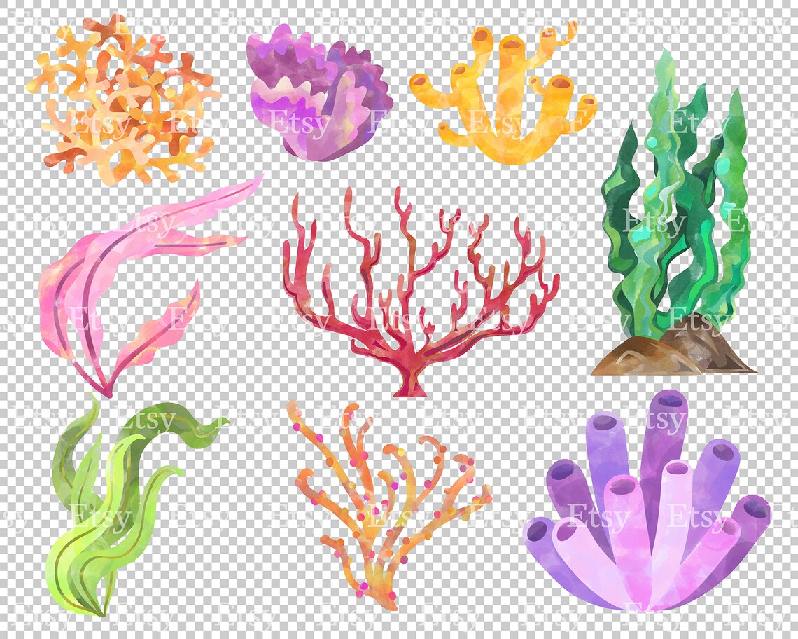 Watercolor Coral Clipart ⊛ Commercial Use Watercolor Clipart Ocean ...