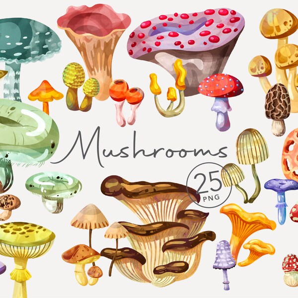 Fungi - Etsy