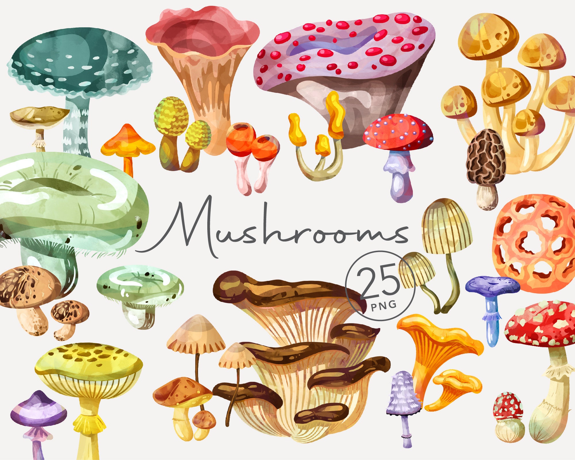 Watercolor Mushrooms Clipart Fungus Clipart Nature Clipart Plants Clip ...