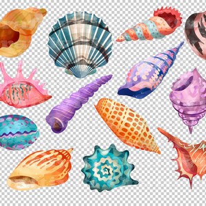 Watercolor Seashells Clipart Shell Clipart Nautical Clip Art Nursery ...