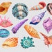 Watercolor Seashells Clipart Shell Clipart Nautical Clip Art Nursery ...