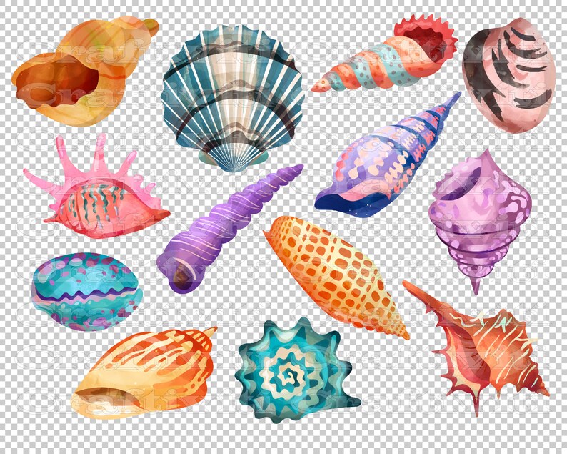 Watercolor Seashells Clipart Shell Clipart Nautical Clip Art Nursery ...