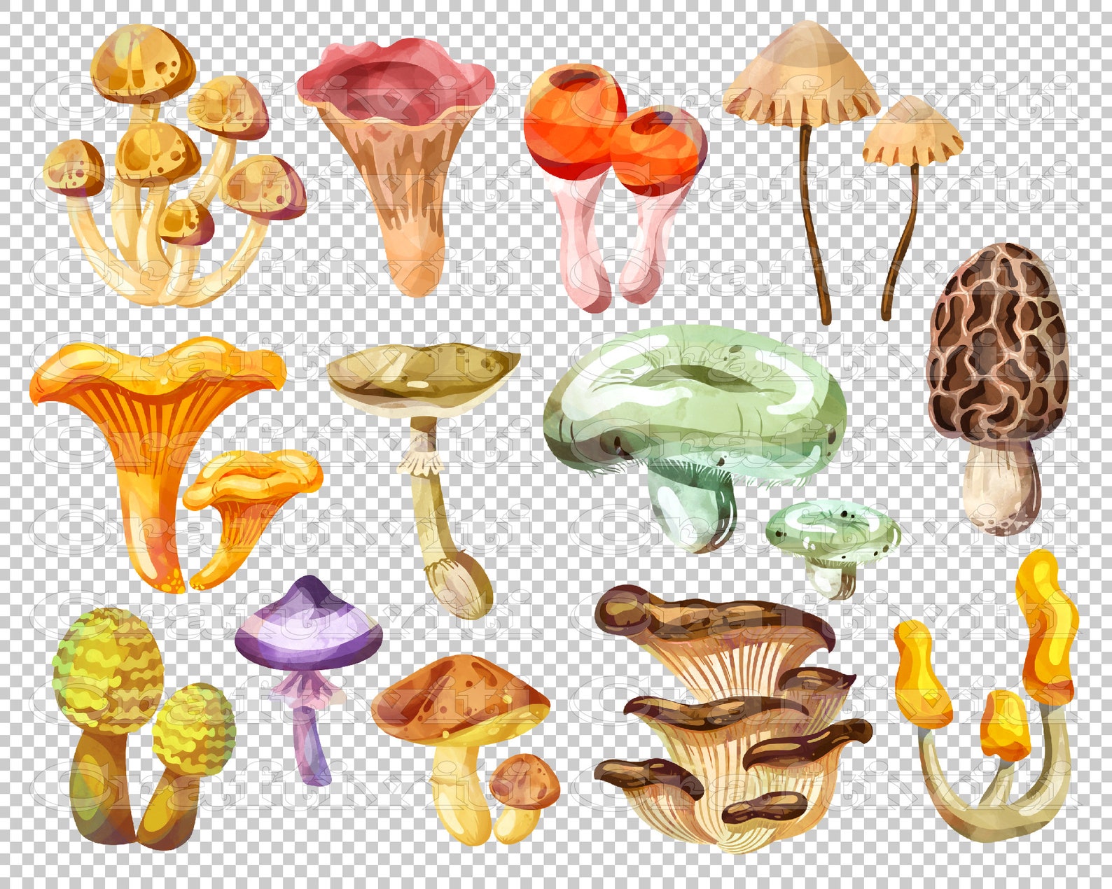 Watercolor Mushrooms Clipart Fungus Clipart Nature Clipart Plants Clip ...