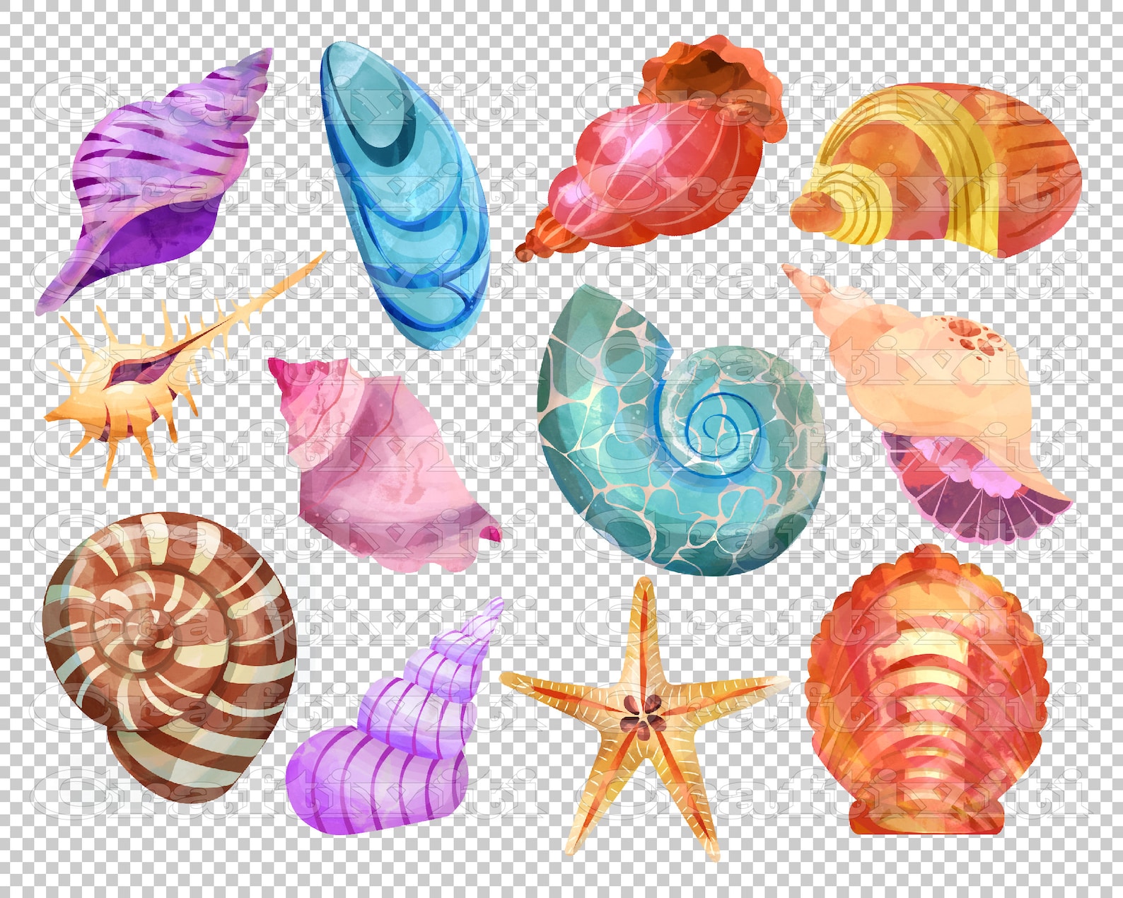 Watercolor Seashells Clipart Shell Clipart Nautical Clip Art Nursery ...