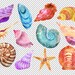 Watercolor Seashells Clipart Shell Clipart Nautical Clip Art Nursery ...