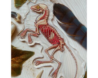 Transparent Keychain - Etsy