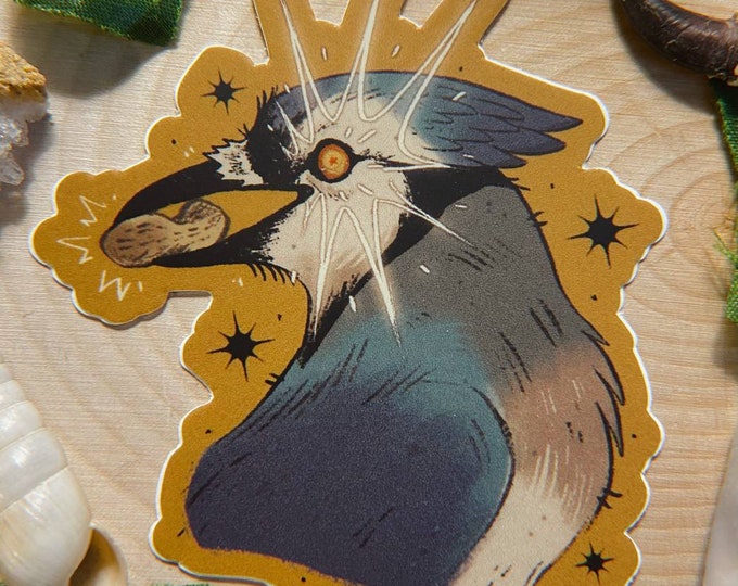 Blue Jay Sticker - Etsy