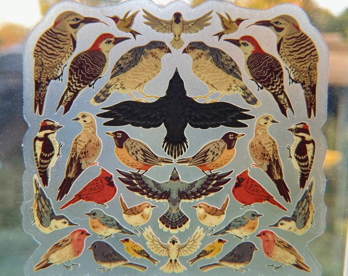 Clear Backyard Birds Sticker - Etsy