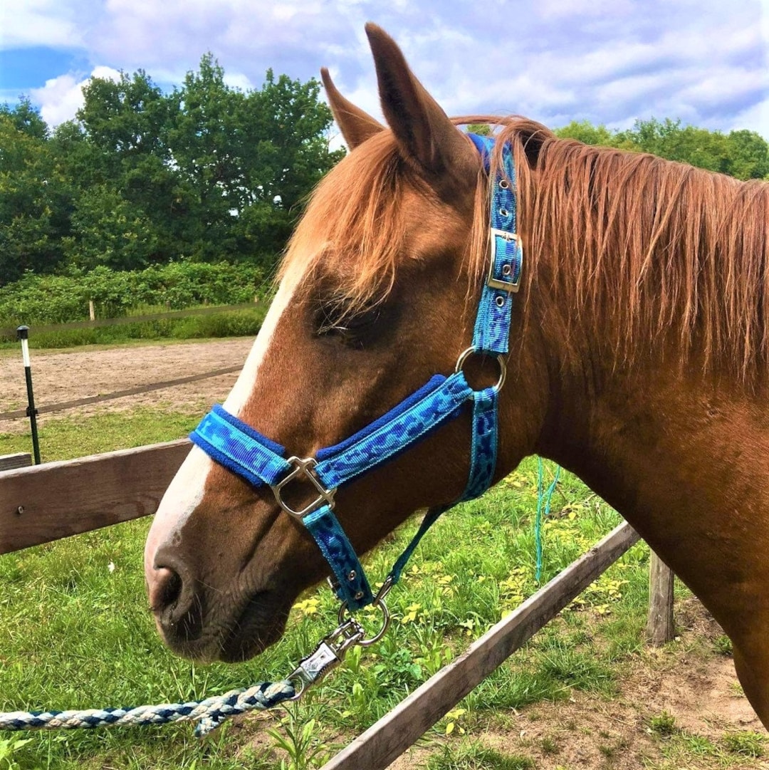 Halter for Horses / Headcollar Size Cob "camouflage Blue" - Etsy