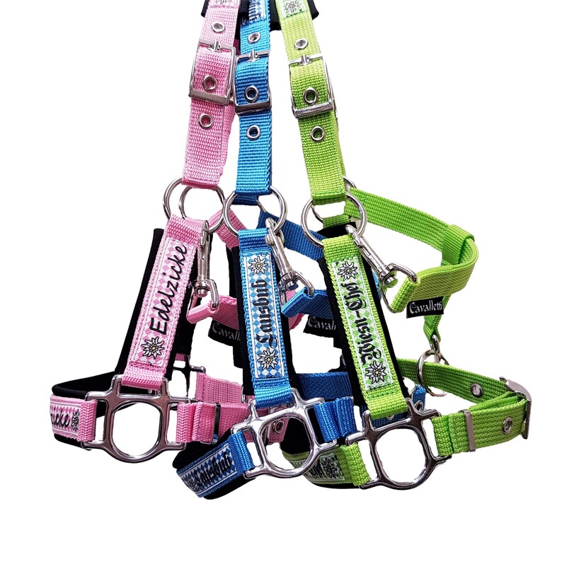 Halter Headcollar Mini Pony / Miniature Horse "lausbub" Halter for ...