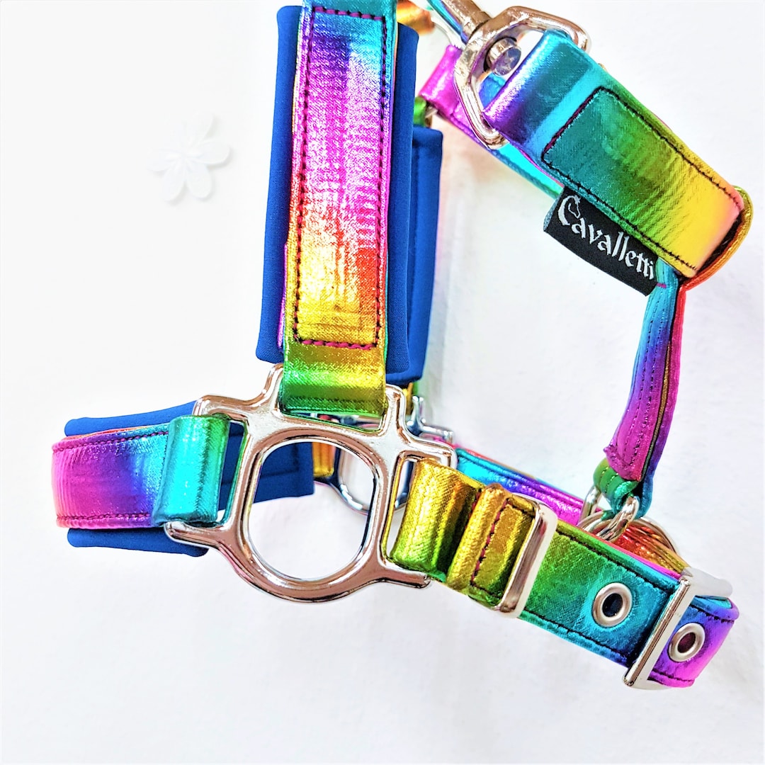 Halter / Headcollar Pony / Miniature Horse rainbow Deluxe - Etsy