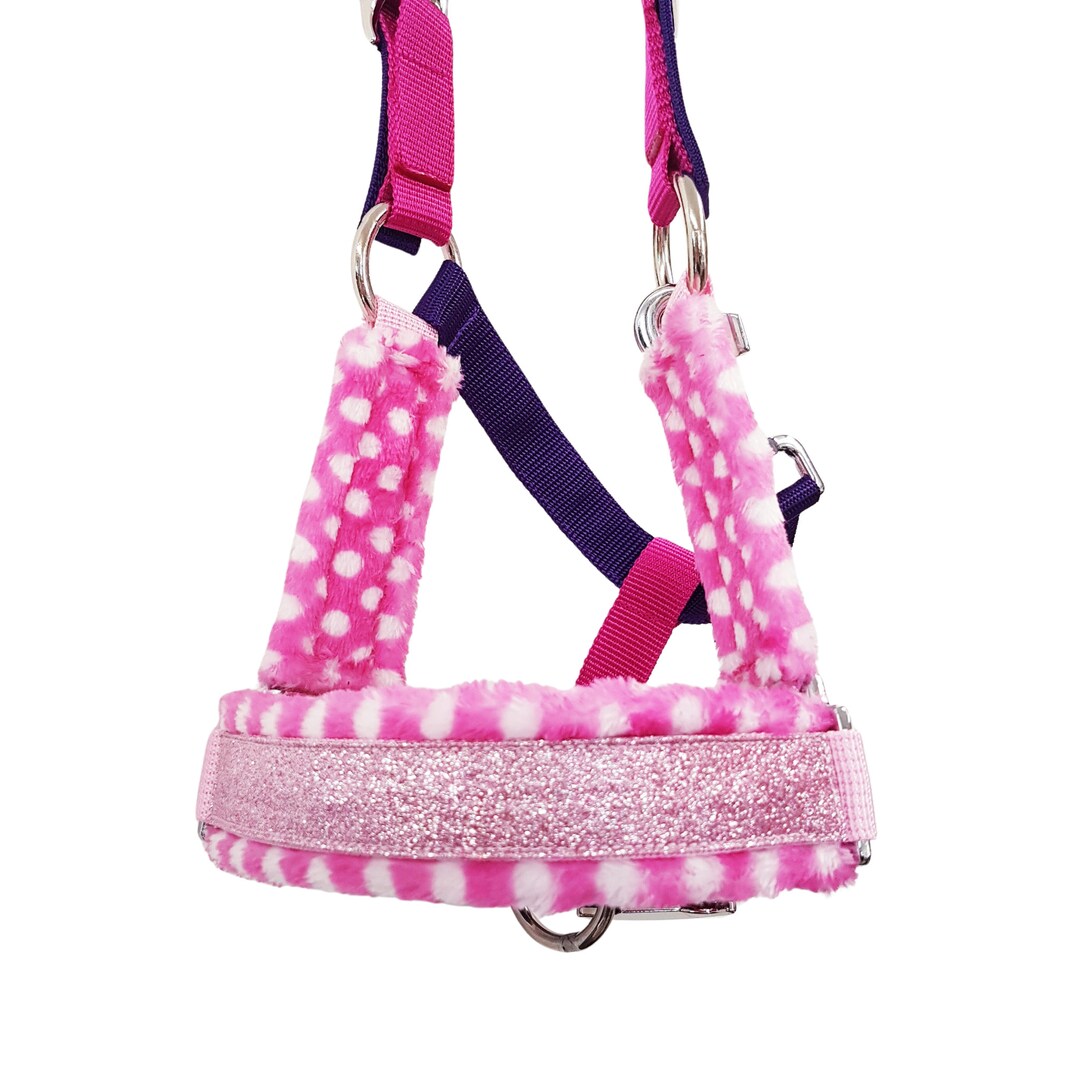 Halter Headcollar Shetland Pony candy Halter for Horses Headcollar for ...