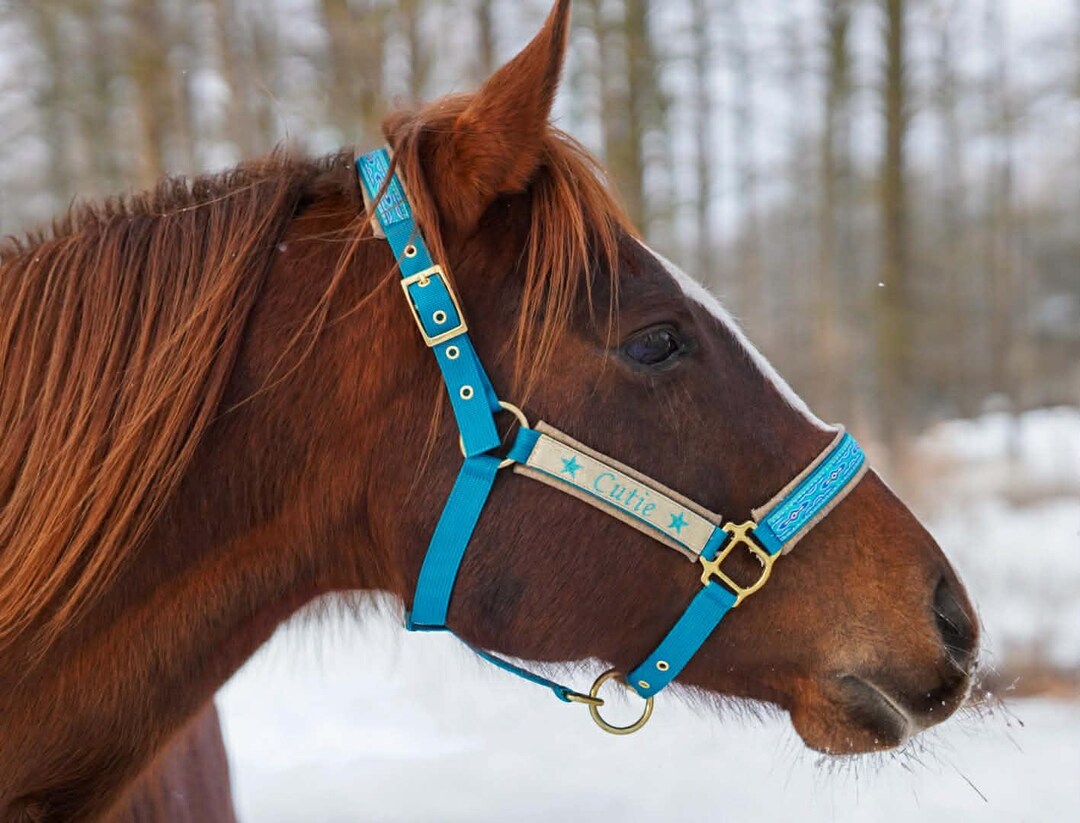 Horse Halter Cob Size "cleopatra" Personalizable Headcollar for Horses ...