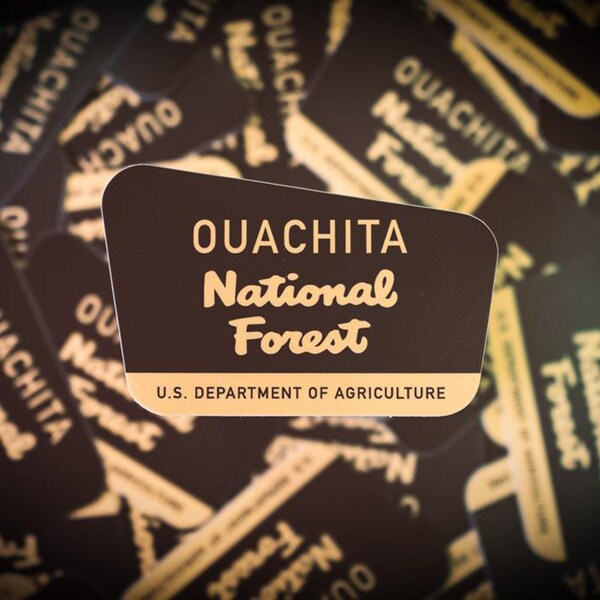 National Forest - Etsy