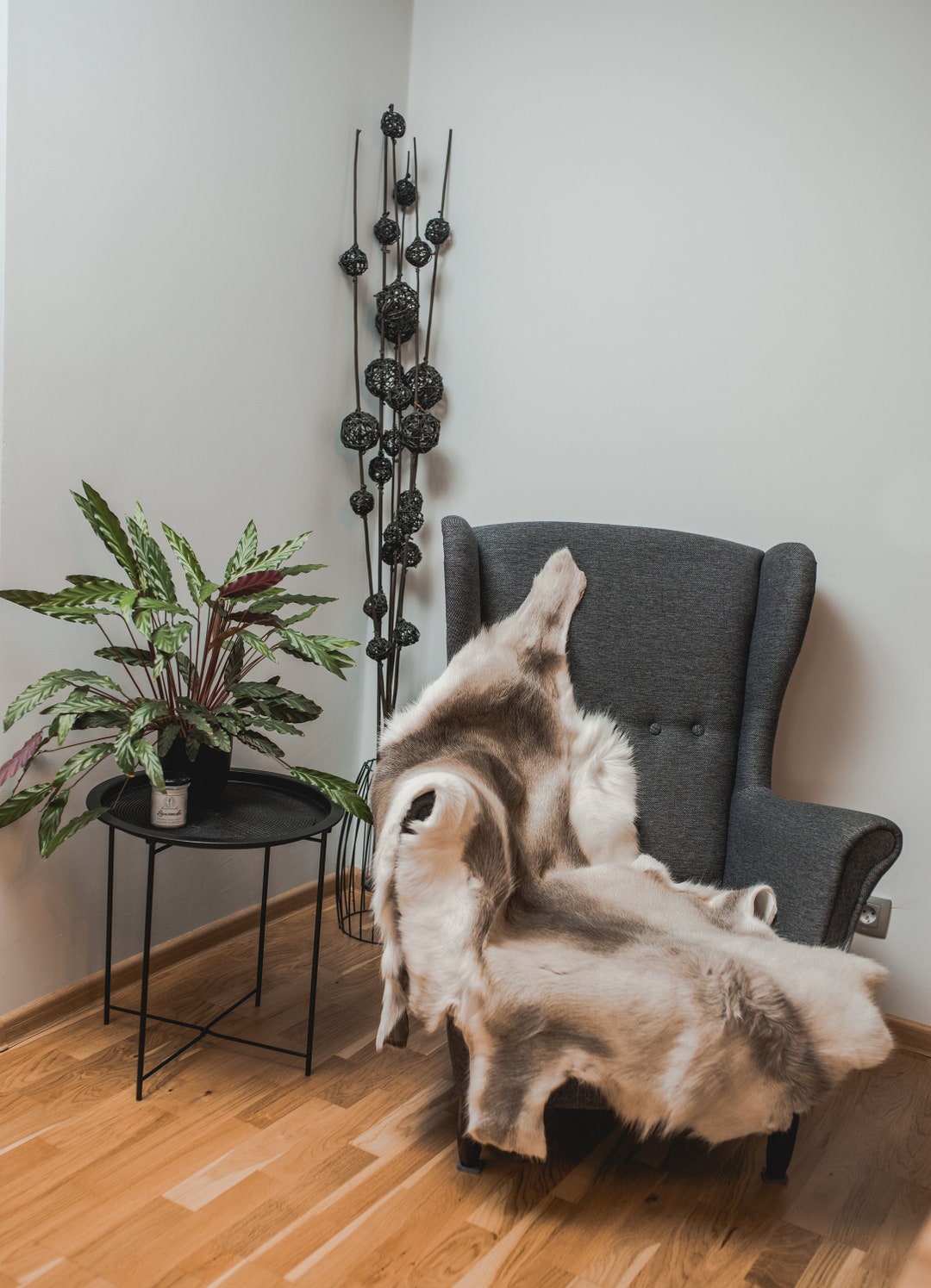 Giant Exclusive Scandinavian Reindeer Natural, Skin Hide Rug, Caribou ...