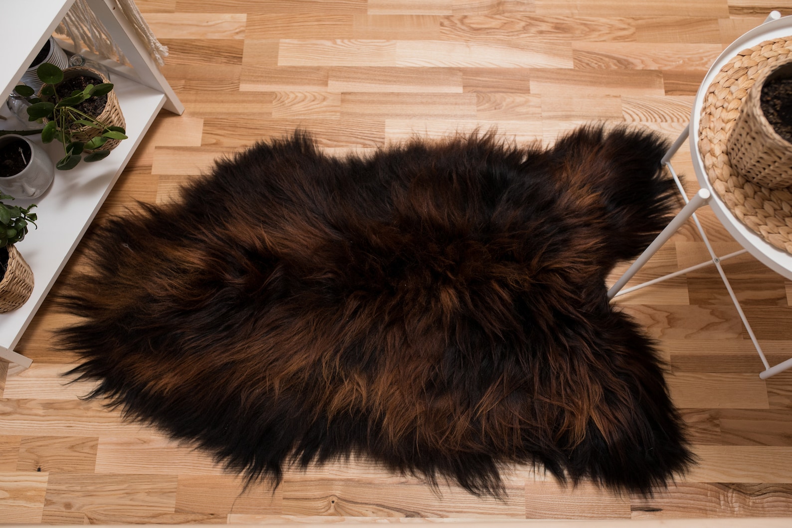 Icelandic Genuine Sheepskin Rug, Rust Black, Single Animals Pelt ...