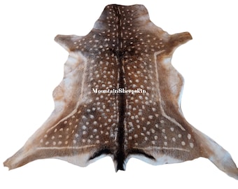 Amazing Unique European Fallow Deer Hides 100% Natural XL Size, Unique ...