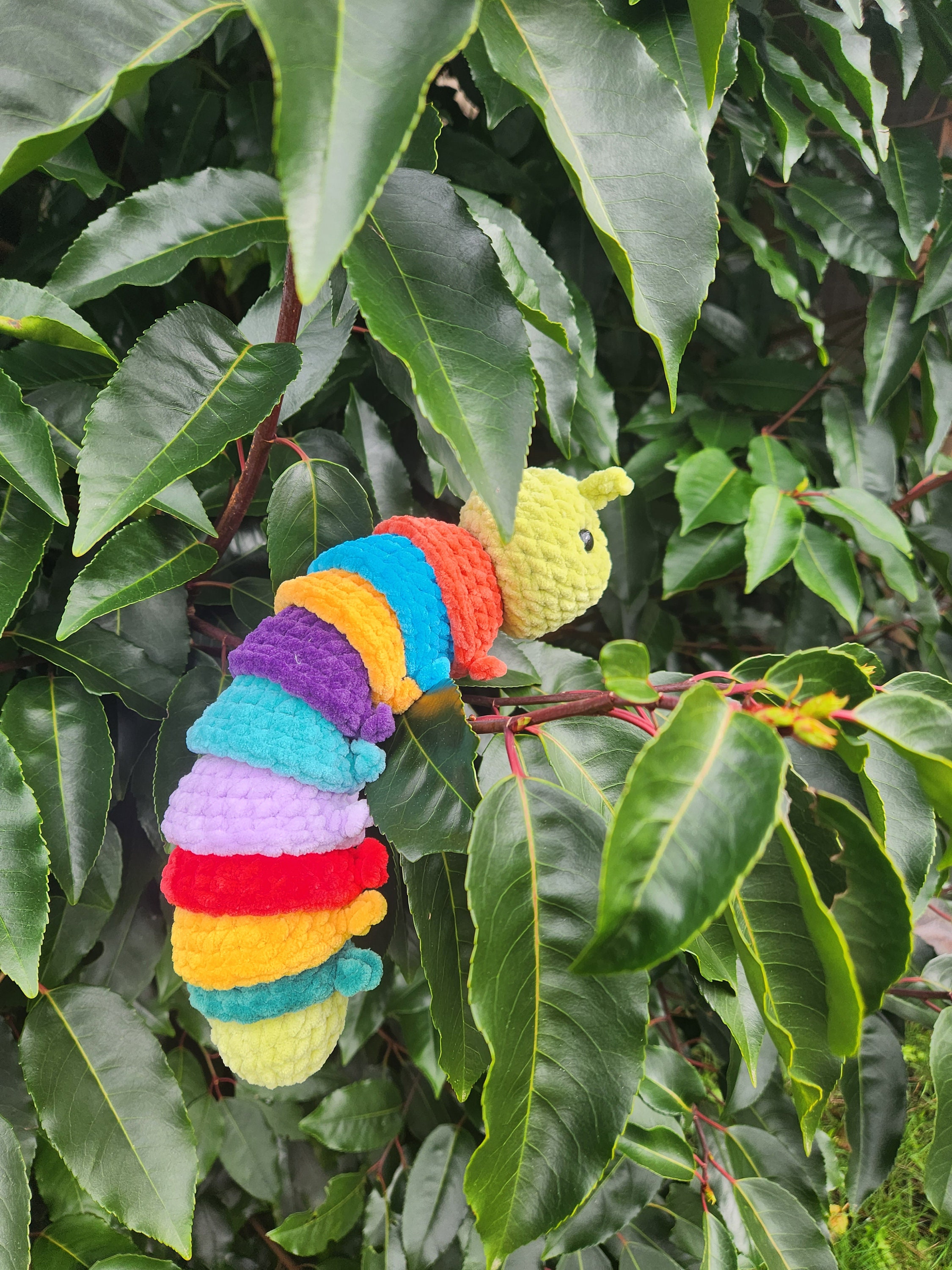 Chantal the Caterpillar Amigurumi Fidget Toy - Etsy