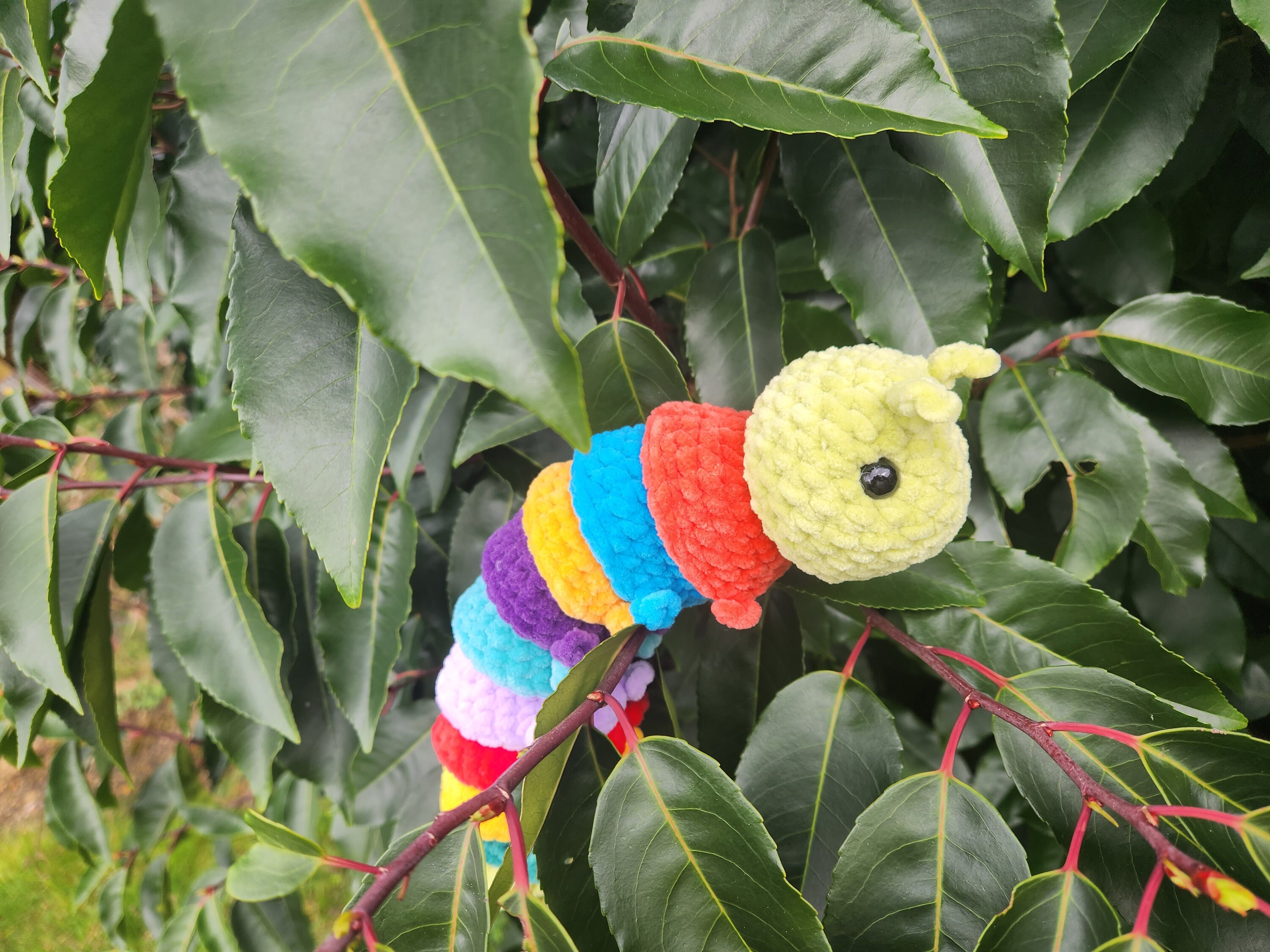Chantal the Caterpillar Amigurumi Fidget Toy - Etsy