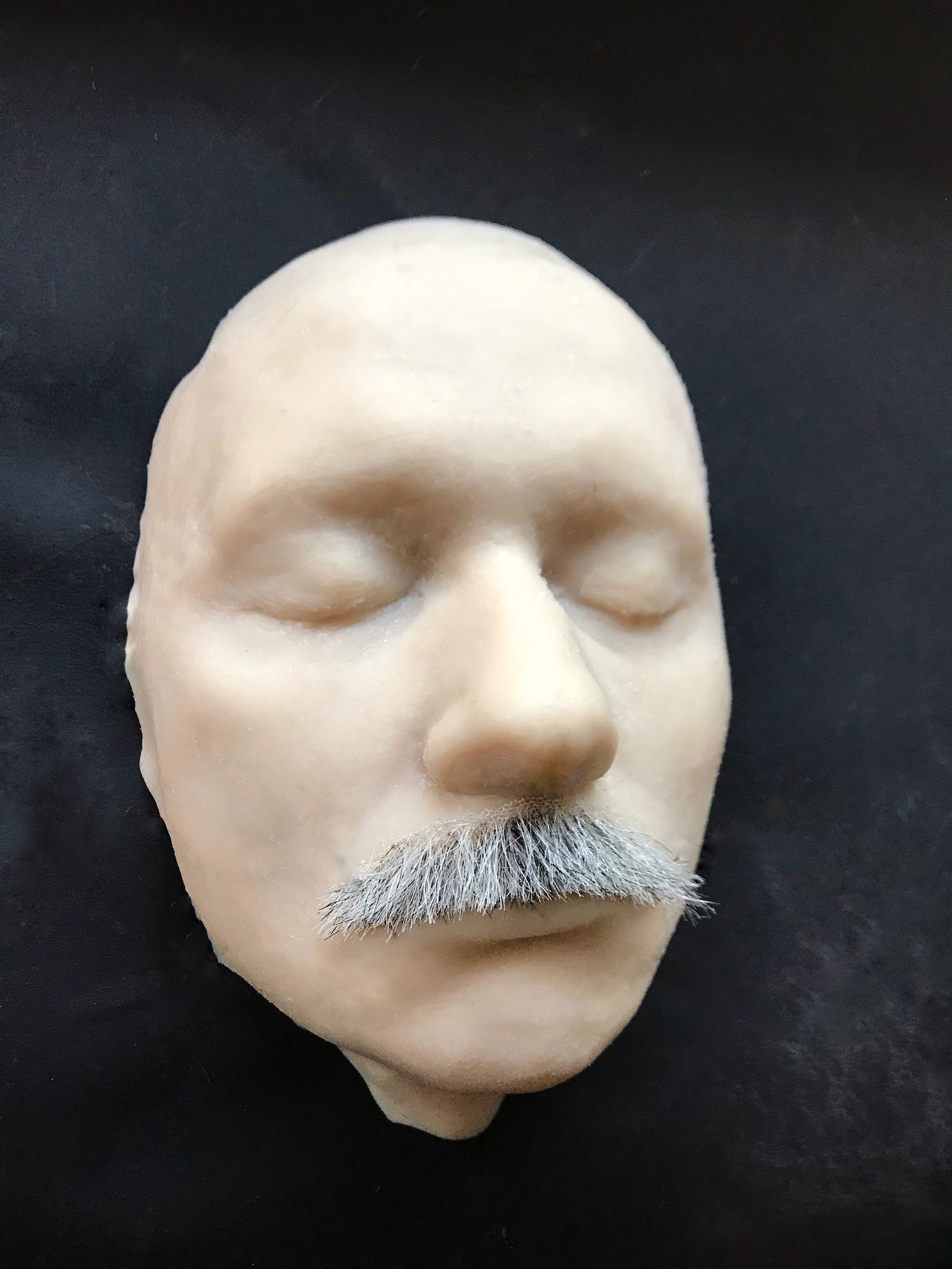 Realistic false mustache Einstein | Etsy
