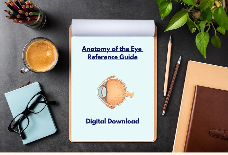 Eye Anatomy Diagram: Labeled Study Sheets for Ophthalmology Students ...