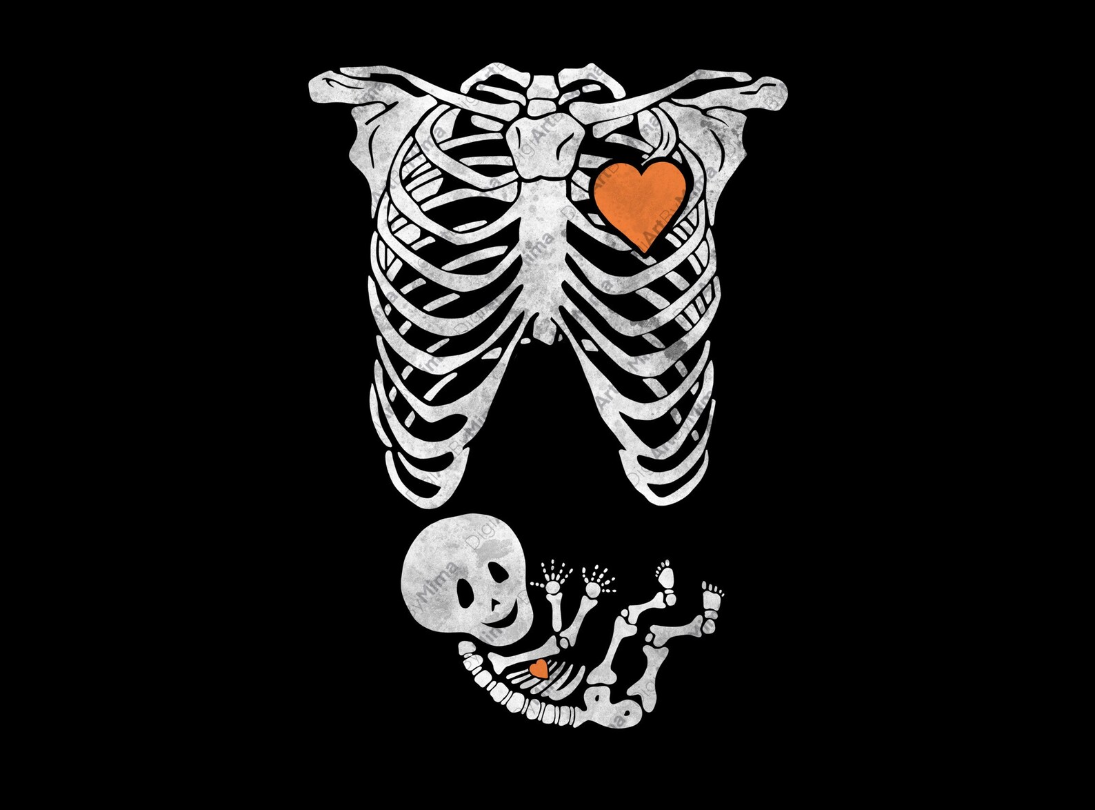 Baby Skeleton Png, Pregnancy Skeleton Png, Halloween Skeleton Png ...