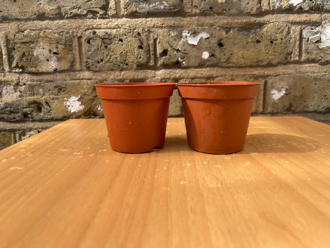 Houseplant growing pot brown plant pot set of 2 pots | Etsy