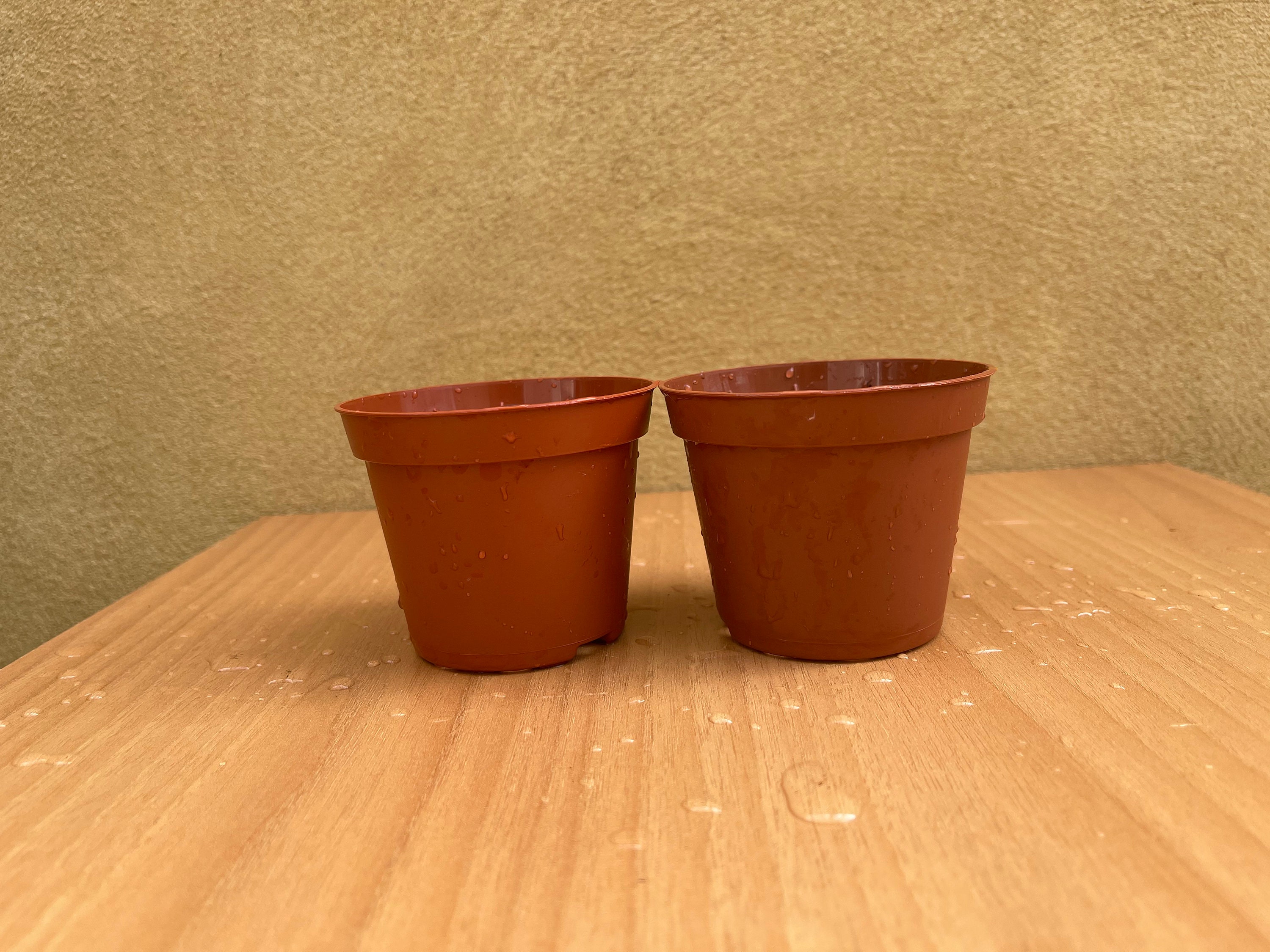 Houseplant Growing Pot Brown Plant Pot set of 2 Pots - Etsy UK