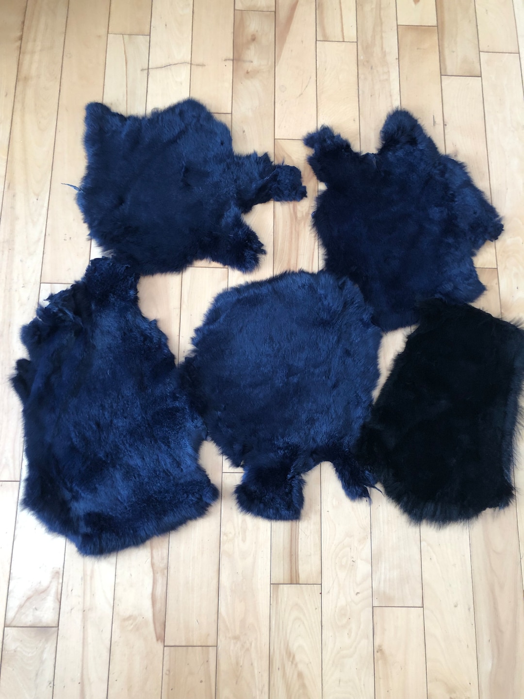 5 Sheared Rex Rabbit Pelts for Crafts - Etsy
