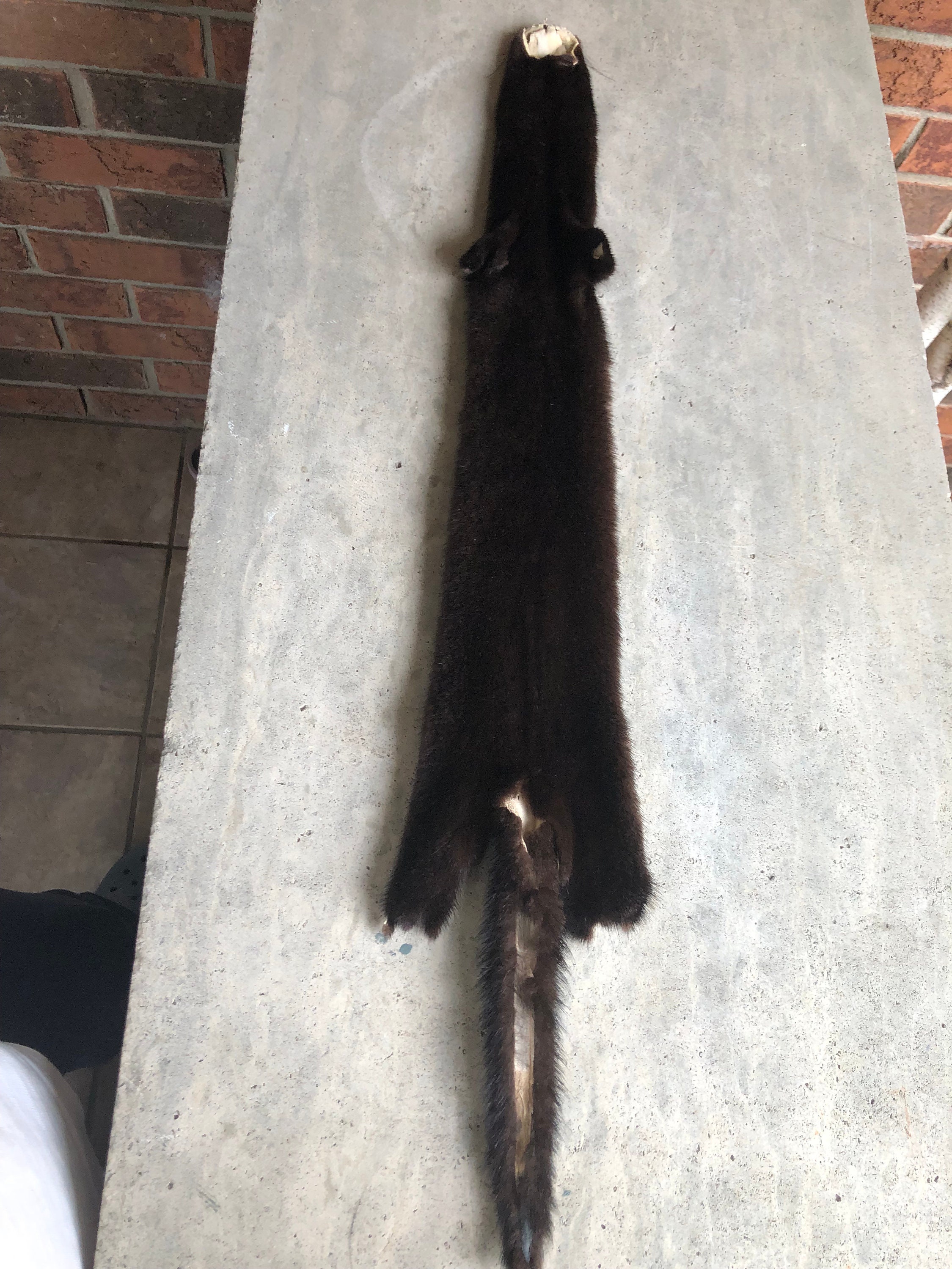 Farm Raised Full Pelt Mink Neck Scarf - Etsy