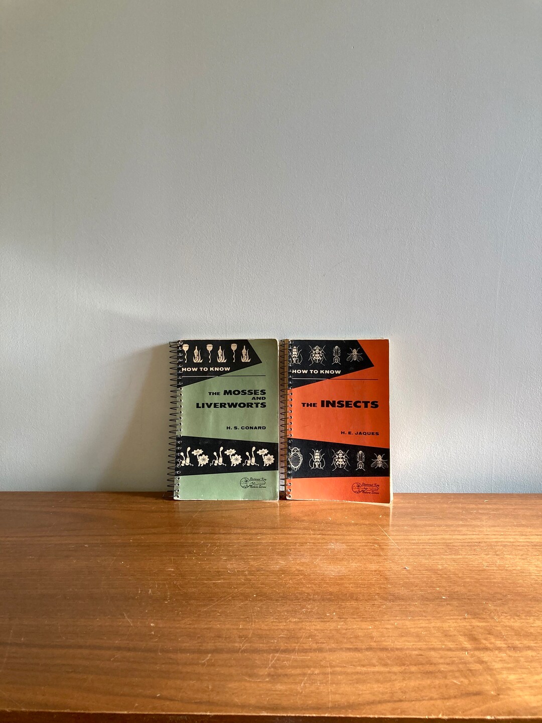 Vintage Field Guides: Mosses, Liverworts & Insects - Pictured Key ...