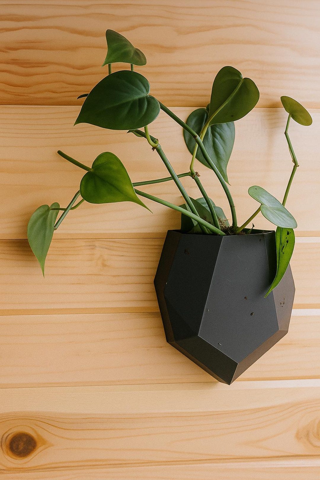Facet Wall Planter | Modern Geometric Wall Planter | 3D Printed Plant ...