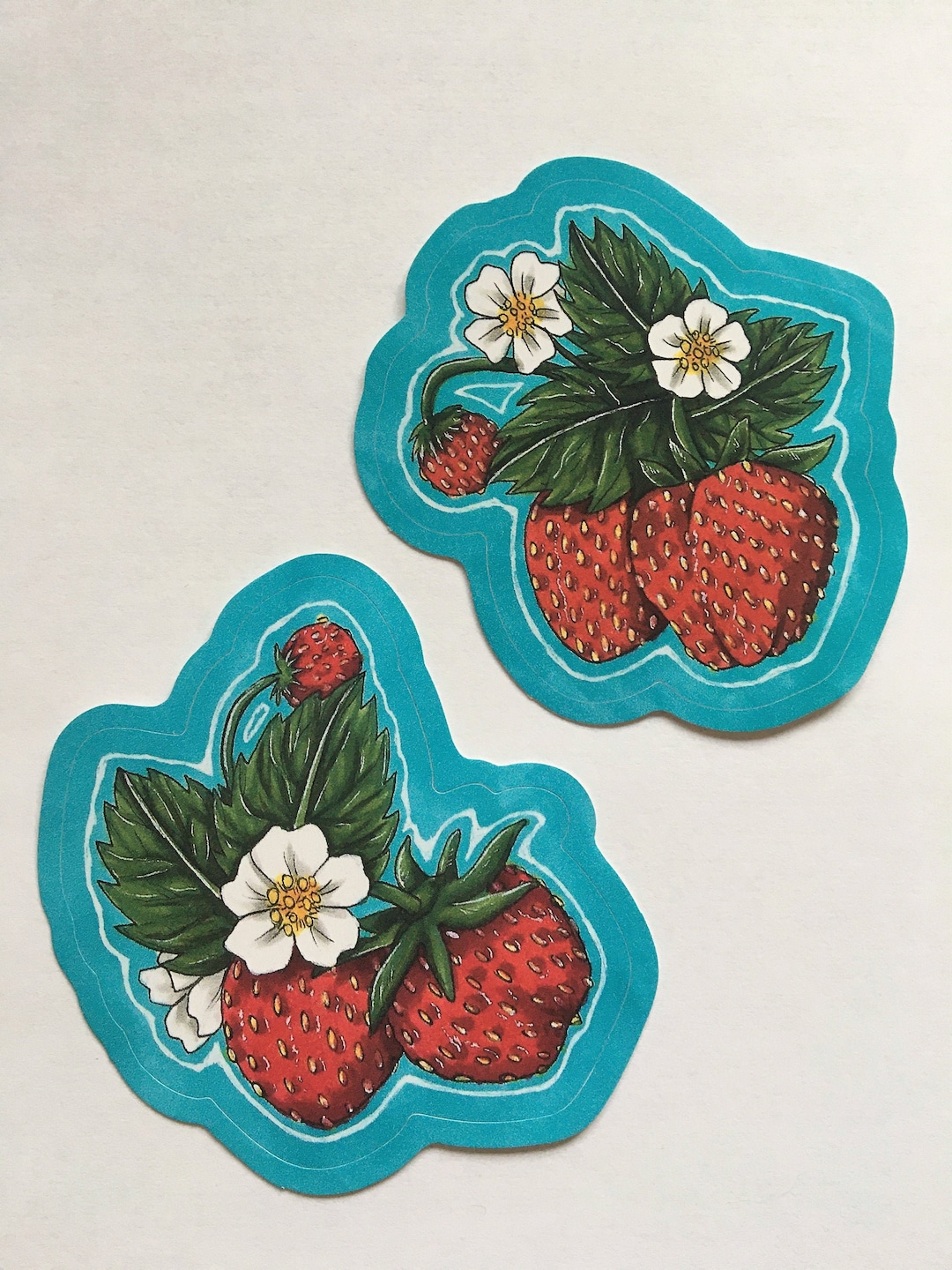 Strawberry Vinyl Fruit Food Sticker Pack - Etsy