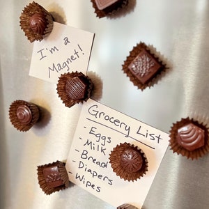 Fake Chocolate Truffle Fridge Magnets: Foodie Gift Set - Etsy