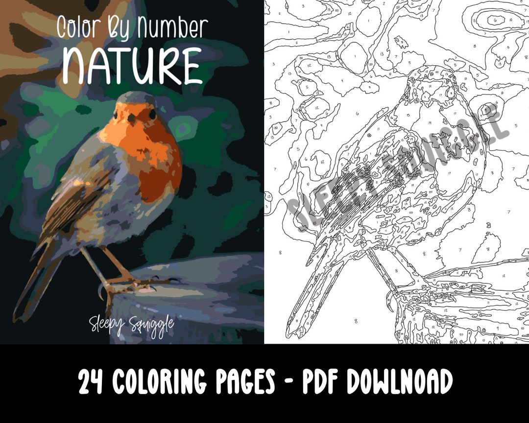 Nature Color by Number | Adult Coloring Book | 30 Digital Coloring ...
