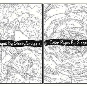 Nature Color by Number Adult Coloring Book 30 Digital Coloring Pages ...