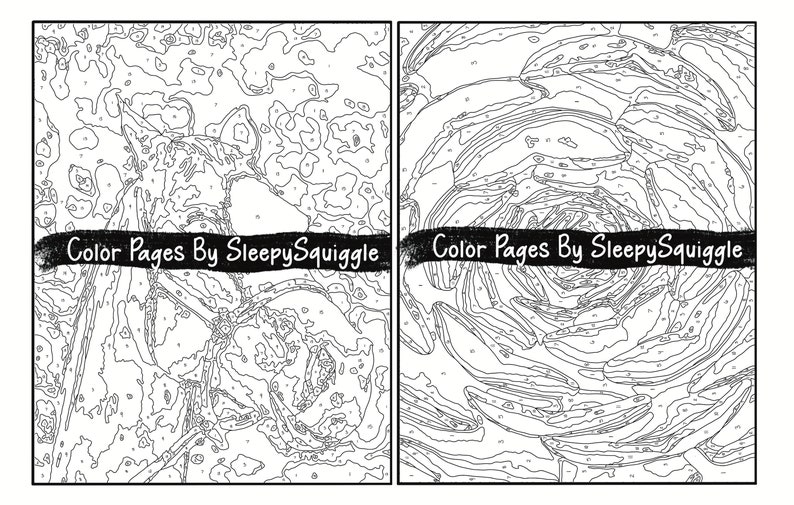 Nature Color by Number Adult Coloring Book 30 Digital - Etsy