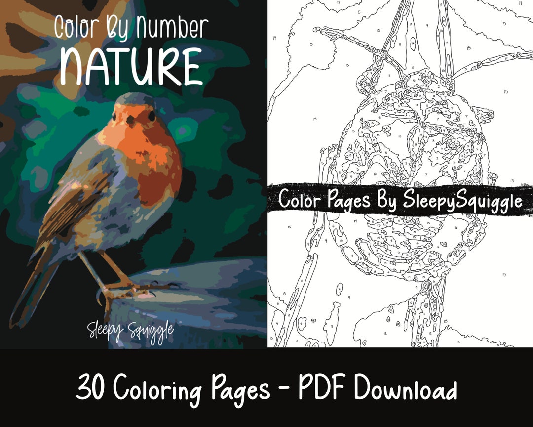 Nature Color by Number Adult Coloring Book 30 Digital Coloring Pages ...