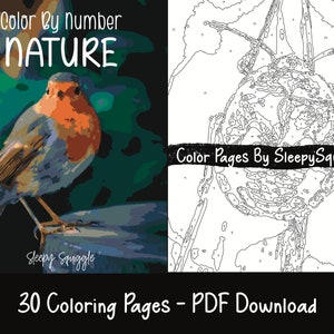 Nature Color by Number Adult Coloring Book 30 Digital Coloring Pages ...