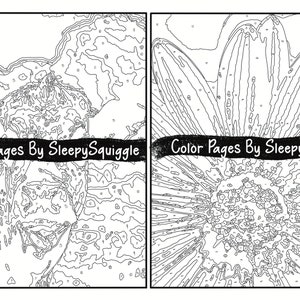 Nature Color by Number Adult Coloring Book 30 Digital Coloring Pages ...