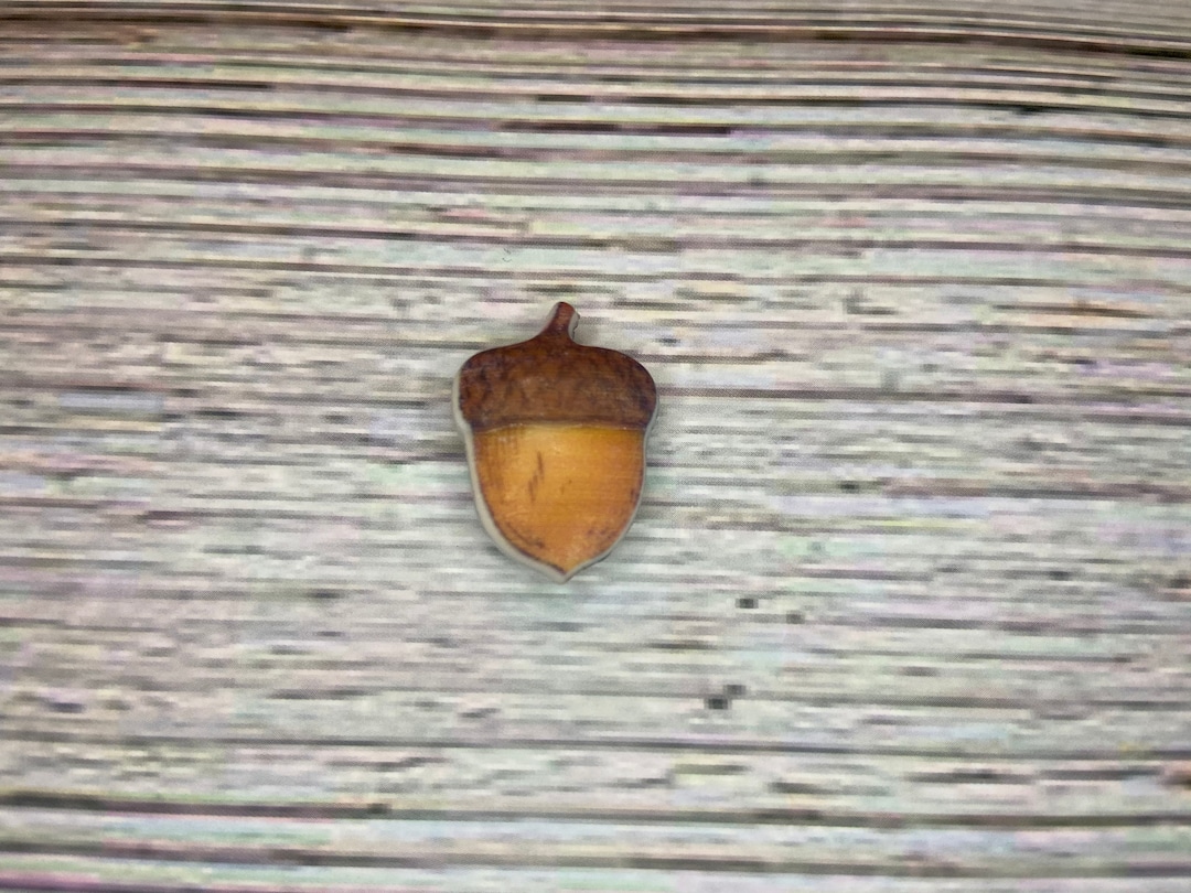 Acorn Cover Minder/refrigerator Magnet/needle Minder - Etsy