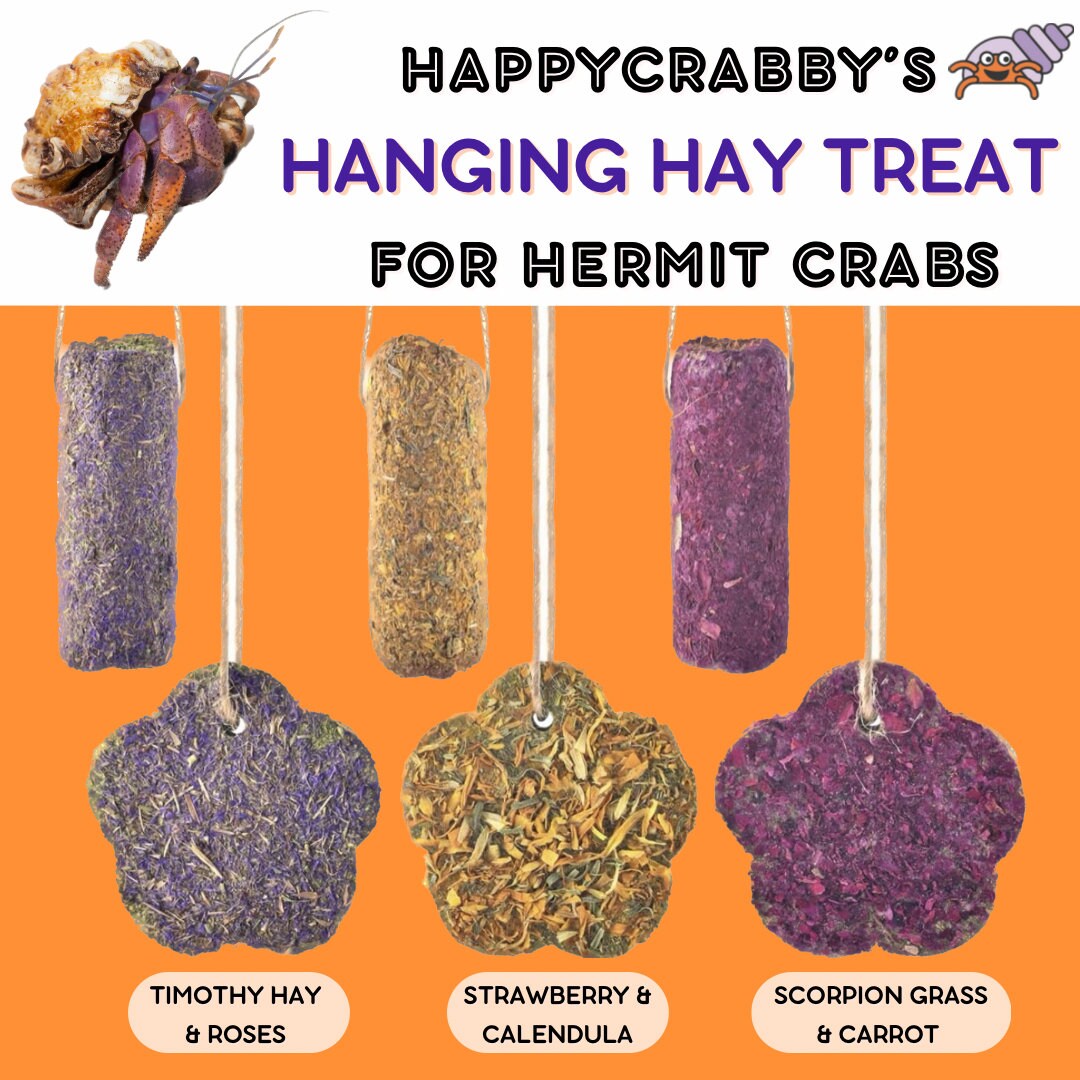 Hanging Hay Treat Hermit Crab & Isopod Snack - Etsy
