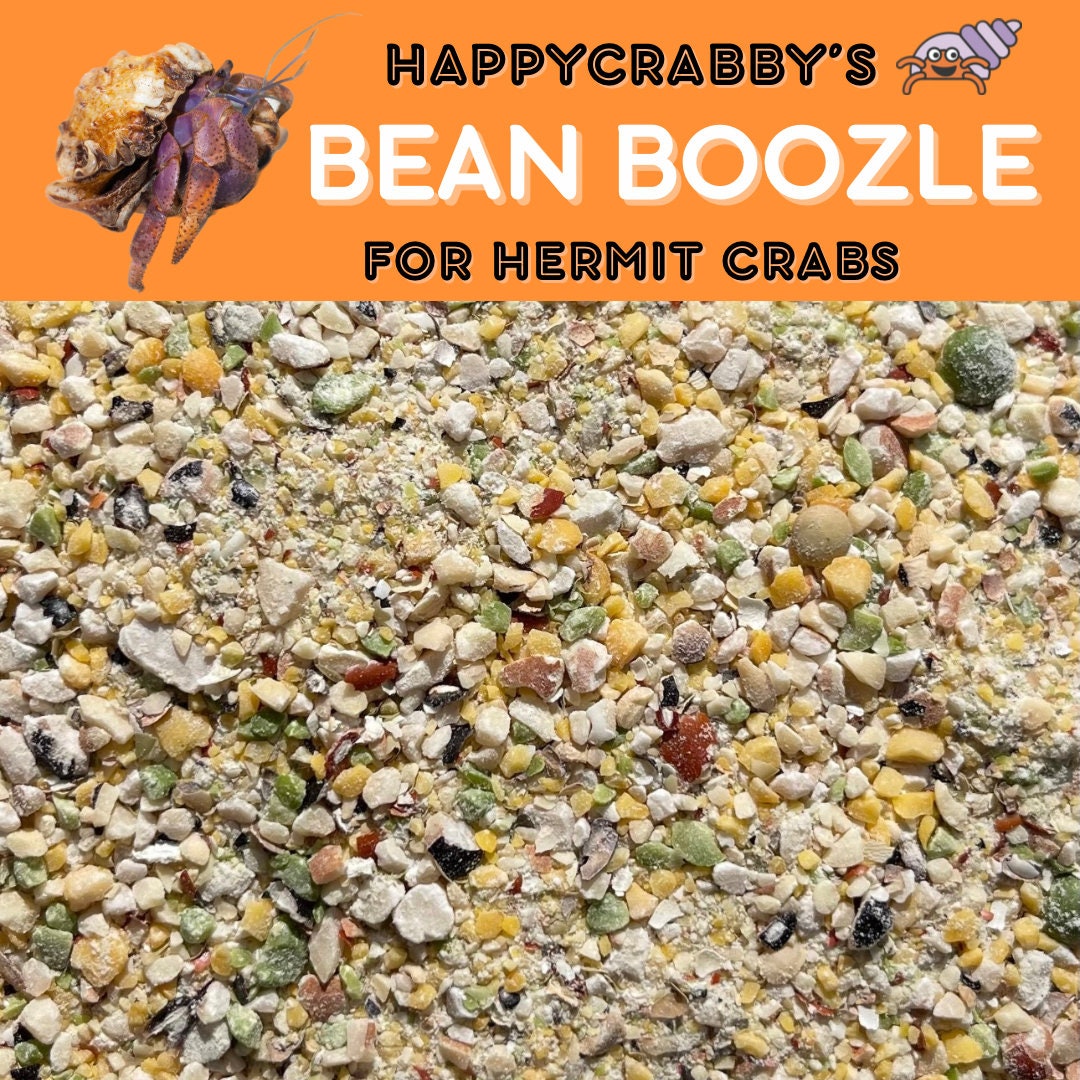 Bean Boozle Hermit Crab Food - Etsy