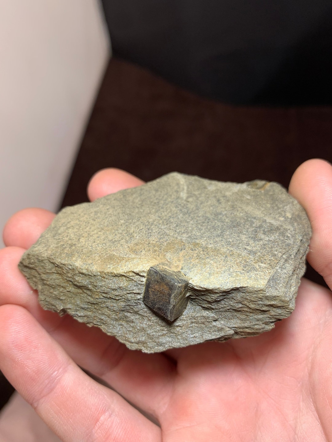 California Pyrite in Slate Specimen - Etsy