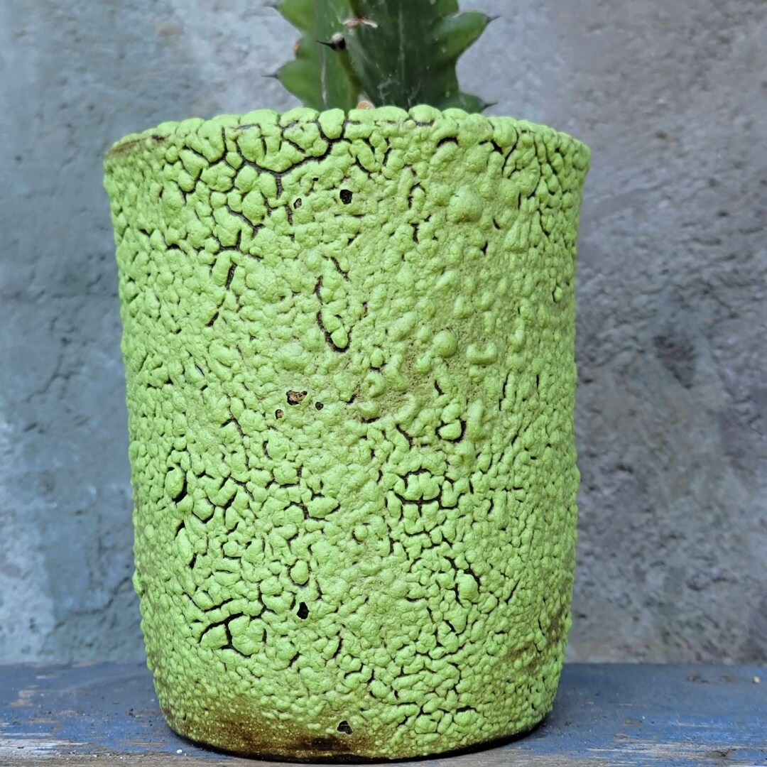 Peety Pots by Pablo Handmade Pottery Great for Succulents or Cacti - Etsy