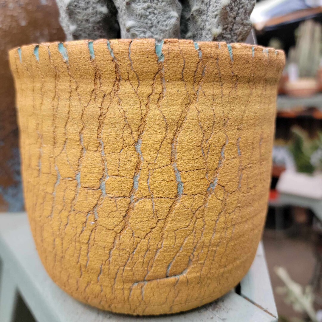 Peety Pots by Pablo Handmade Pottery Great for Succulents or Cacti - Etsy