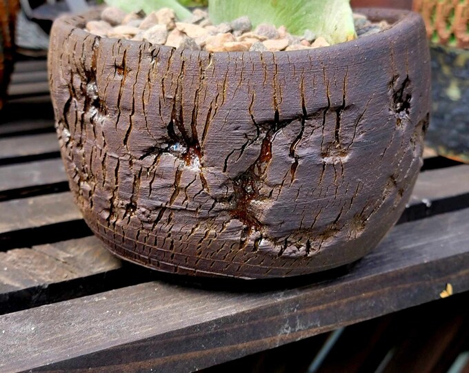 Peety Pots by Pablo Handmade Pottery - Great for Succulents or Cacti - Etsy