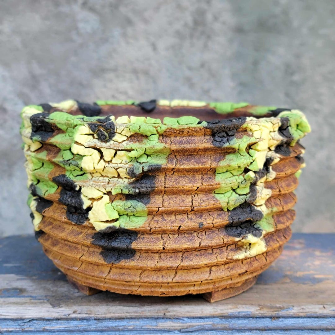 Peety Pots by Pablo Handmade Pottery - Great for Succulents or Cacti - Etsy