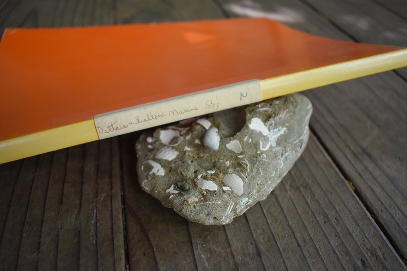 Delatic and Shallow Marine Sandstones: Sedimentation | Etsy